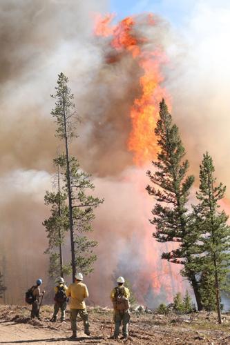 Recent rains improve fire conditions in most of state | News ...