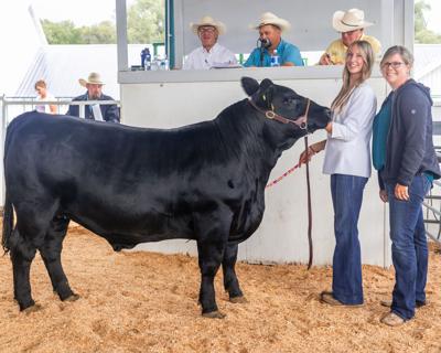 RaeAnna King is Steer of Merit certificate recipient | News ...