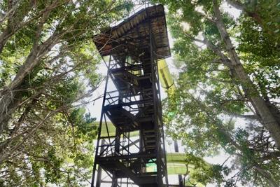 Sliding into the trees: Entrepreneur, KOA owner sets sights on ...