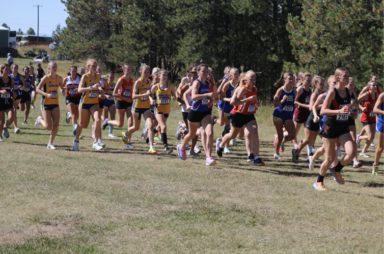 Herder cross-country runners compete in Lewistown | Sports ...