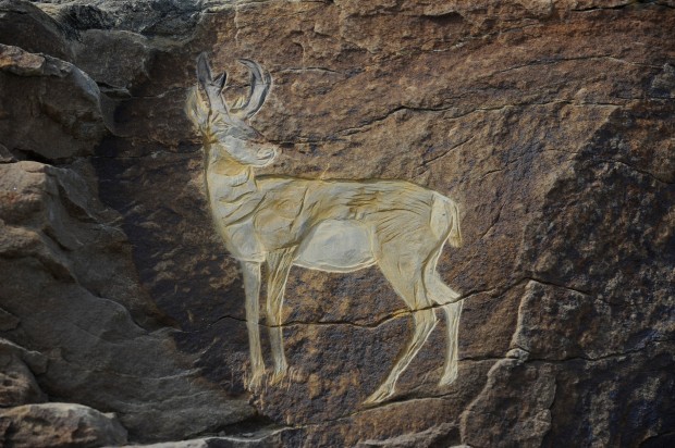 Artist creates modern petroglyphs