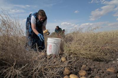 Montana Hutterite colony subject of new documentary