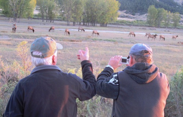 Elk rut bus tours offered to Charles M. Russell National Wildlife Refuge