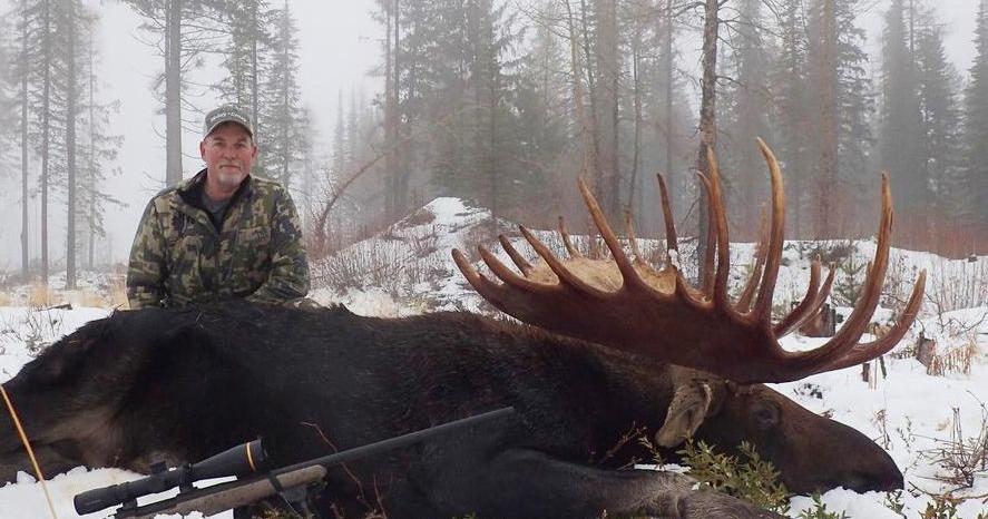world's largest moose