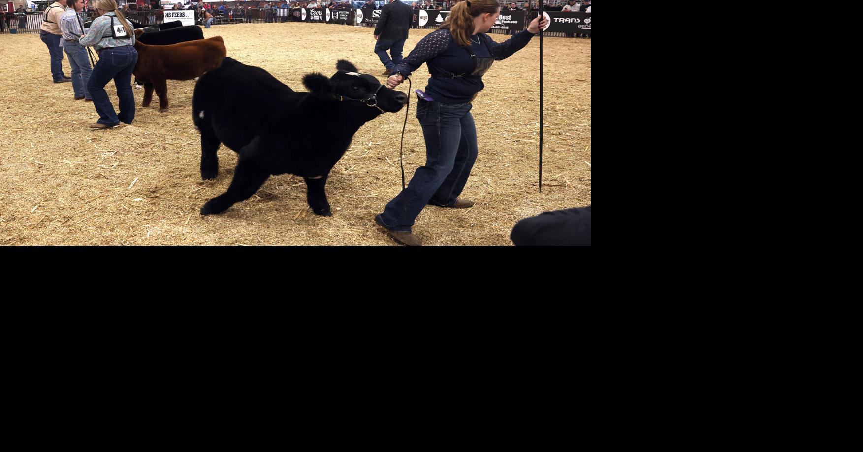 Photos: NILE stock show and barrel racing at MetraPark