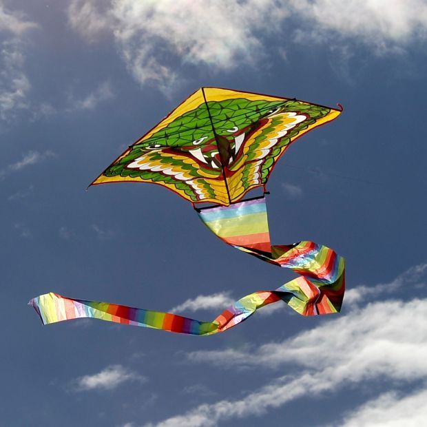 Weather breaks for second annual Kite Fest | Local News ...