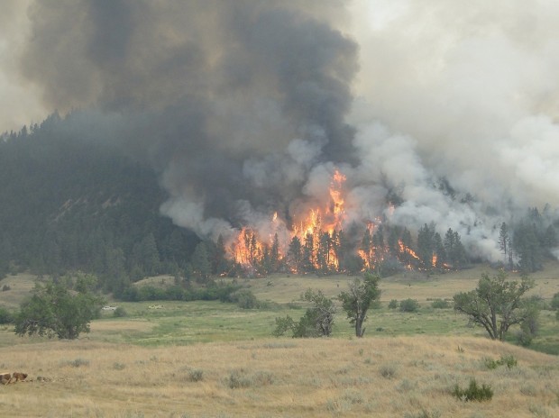 Gallery: Taylor Creek Fire