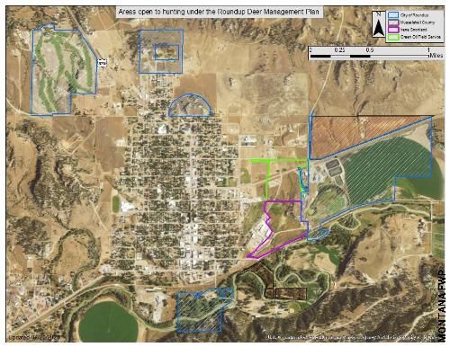 Archery-only mule deer tags offered in Roundup again