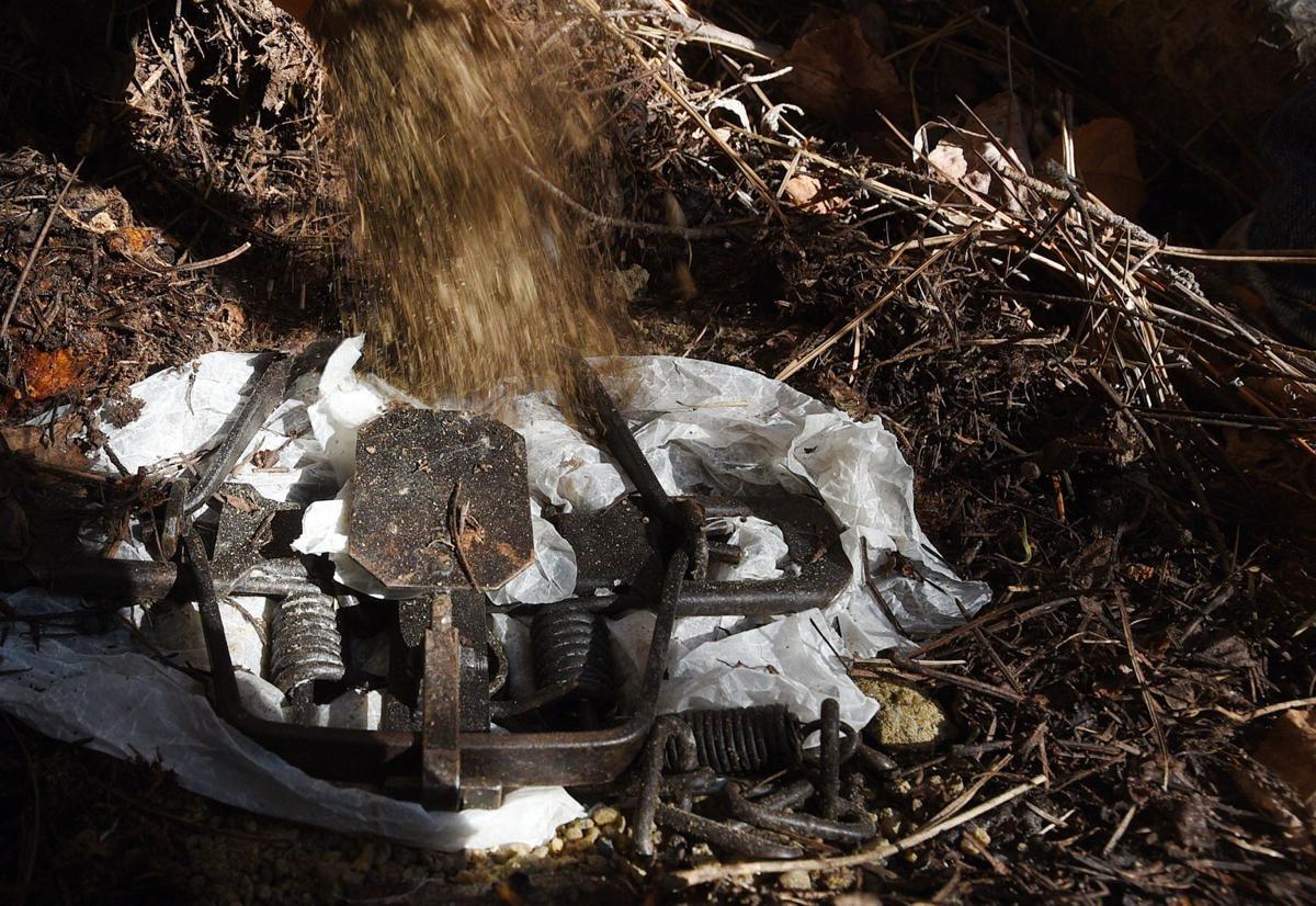 Bill seeks constitutional protections for hunting, fishing and trapping