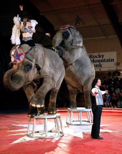 Feature photos: Shrine Circus