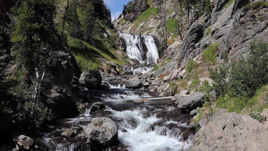Yellowstone hikers likely injured by grizzly mom with cubs