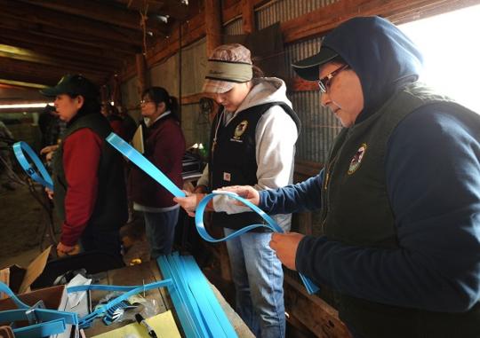 Gallery: Leachman horses