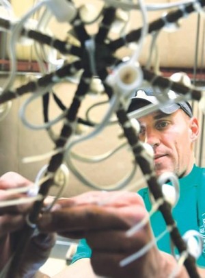 Lighting enthusiast makes season bright