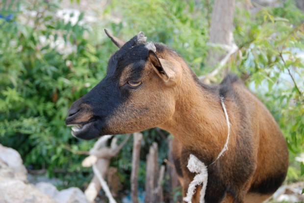 2 Nye women find inspiration in work on impoverished Haitian island