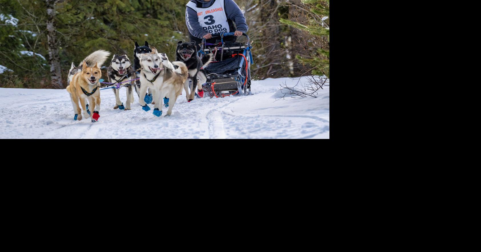 Idaho Sled Dog Challenge set for Jan. 27-Feb. 5
