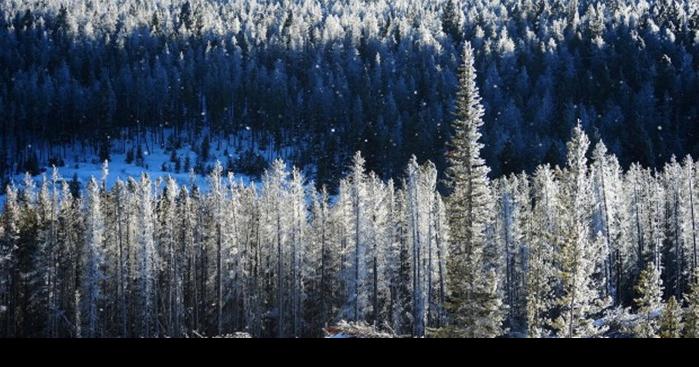 Feature photo: Chilly day on Stemple Pass