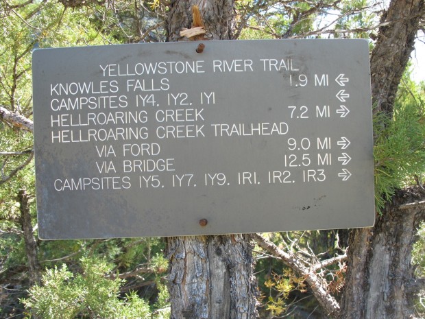 Yellowstone's backcountry: A whole different park