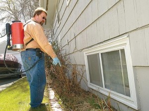 Exterminator Jim Fellows proudly pummels pesky pests