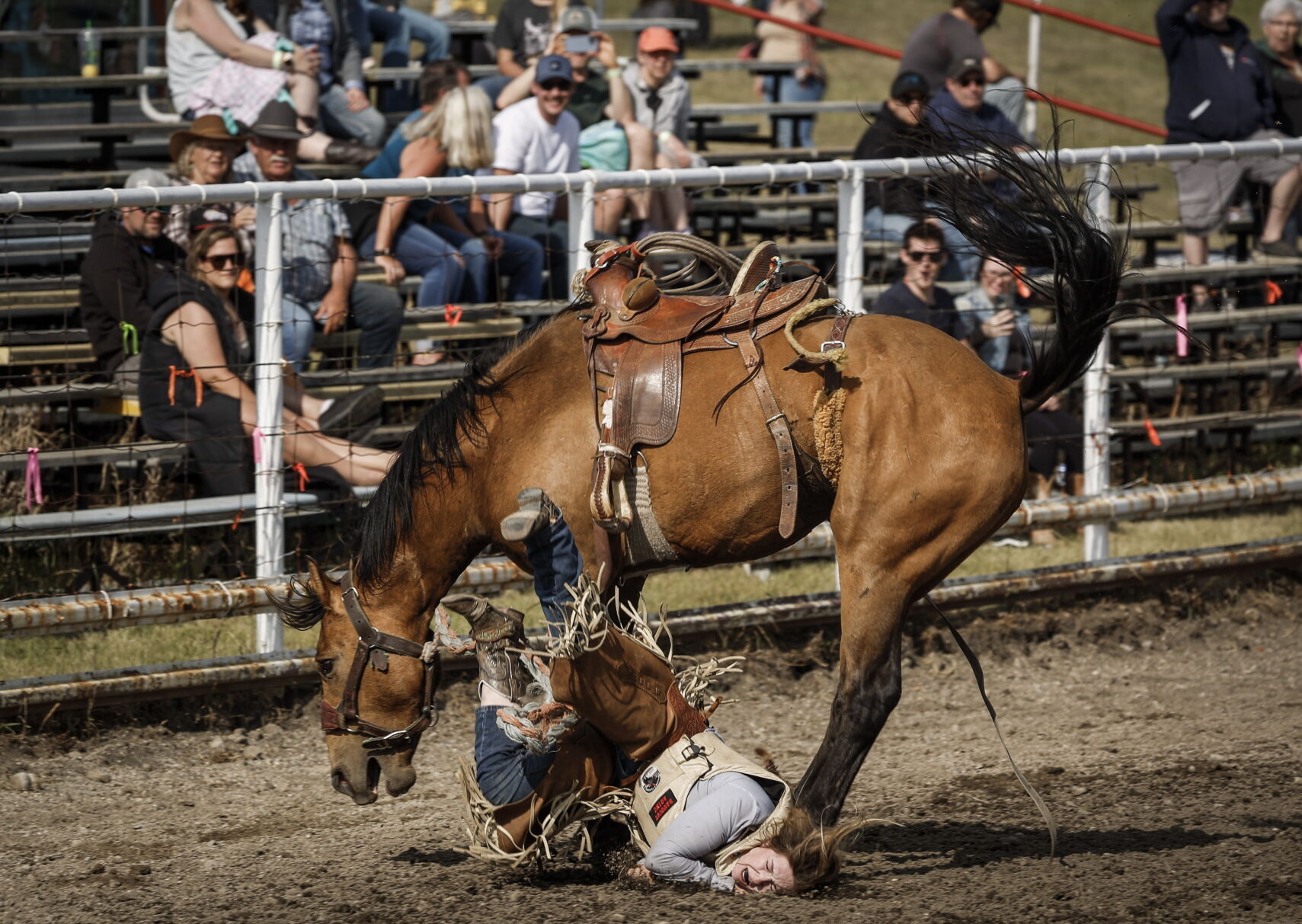 Women look to grow rodeo sport of ranch bronc riding