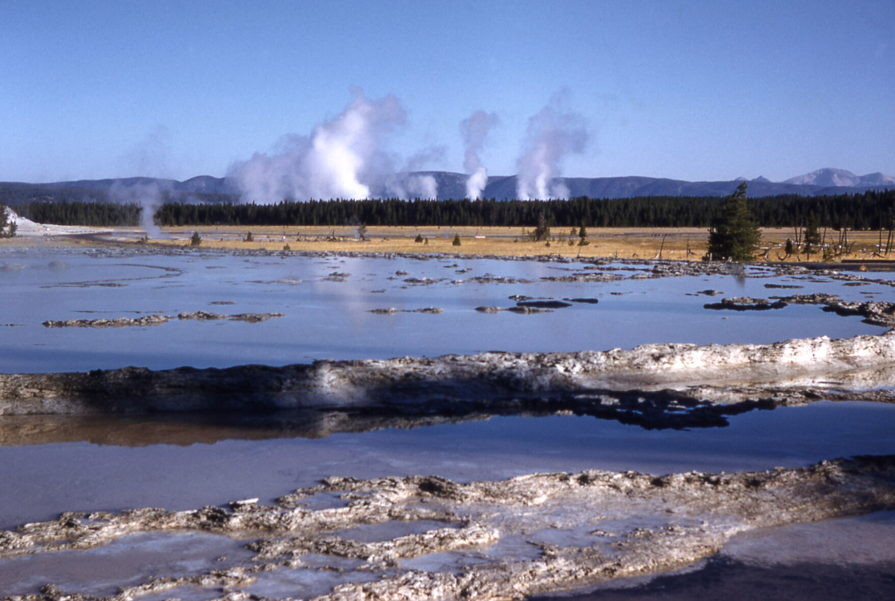 Lower Geyser Basin is largest thermal area in Yellowstone