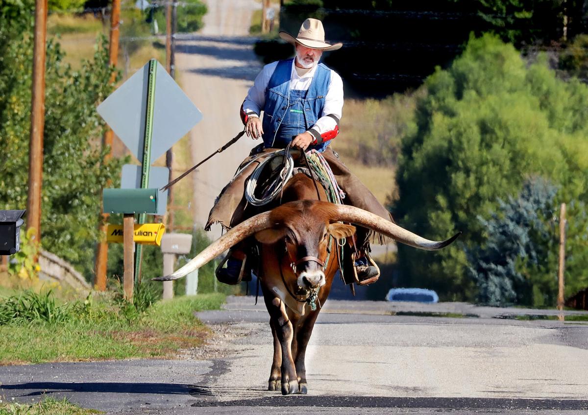 Mr. Piney: A riding longhorn steer is turning heads in the Bitterroot ...