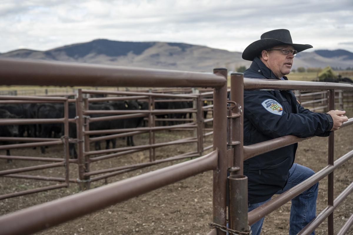 The real story behind 'Yellowstone' show's livestock cops
