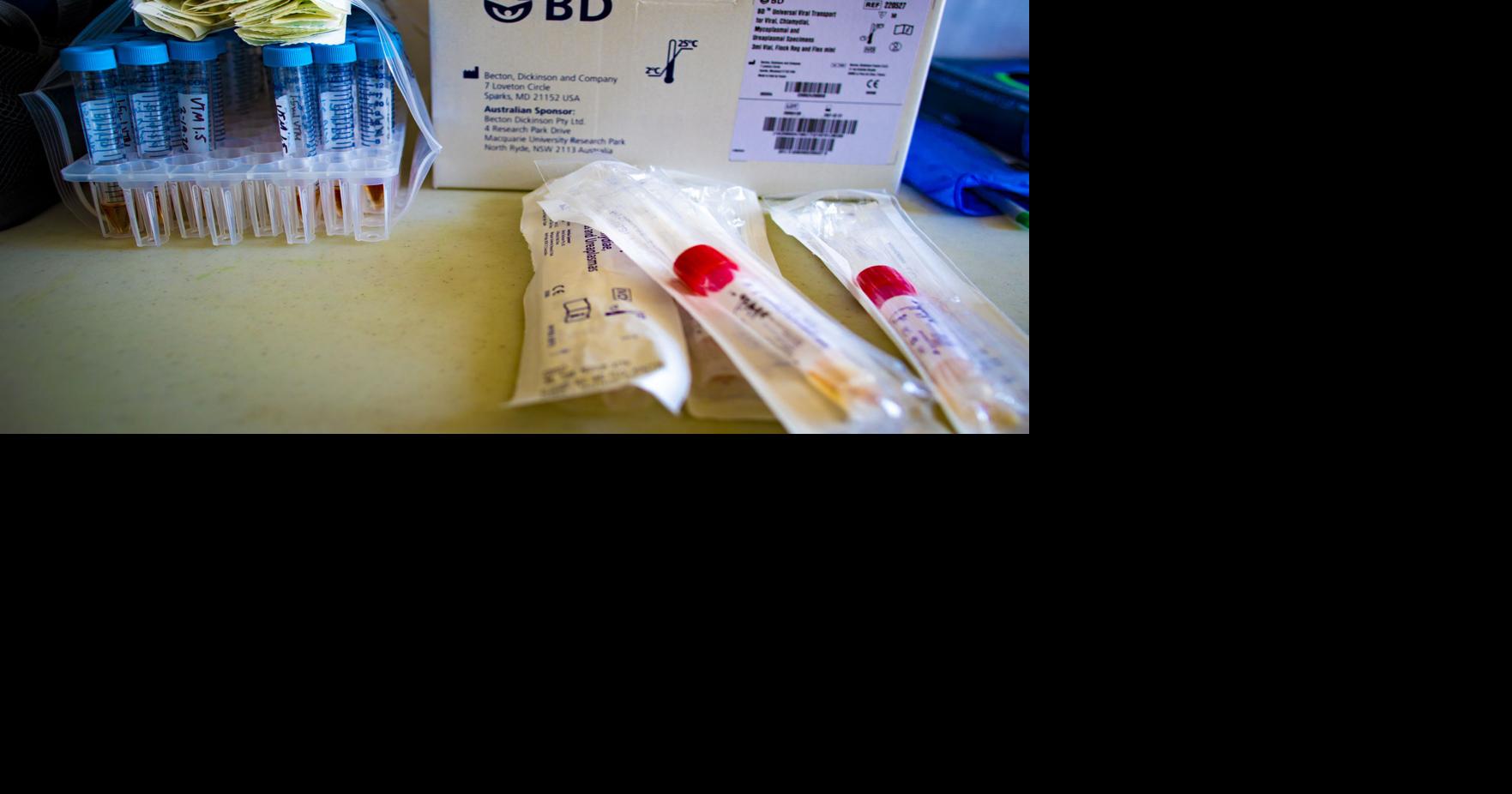 Billings business selling rapid COVID-19 test kits despite health ...