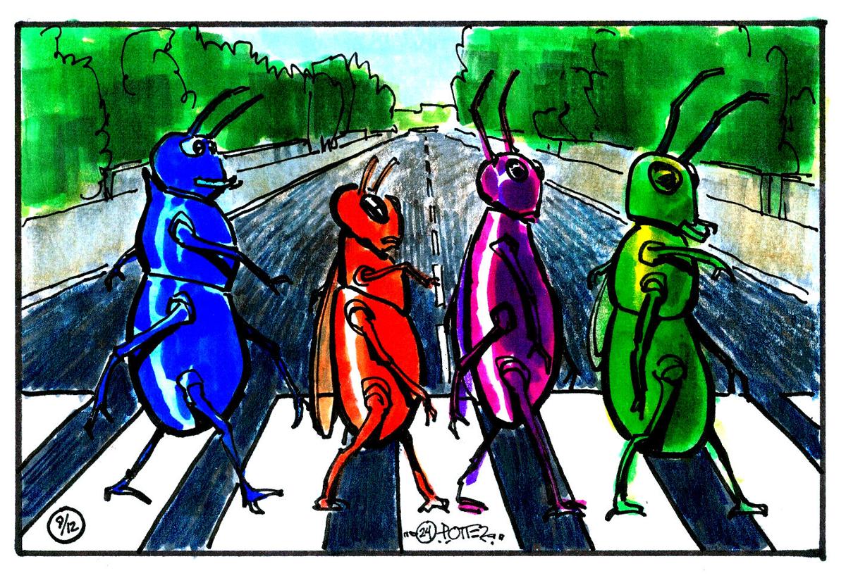 Beetles are fast, strong and look really cool
