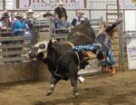 MHSRA rodeo