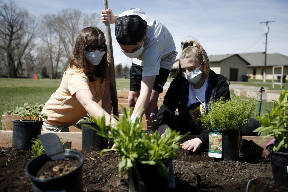 Photos: Billings church creates pollinator garden on Earth Day