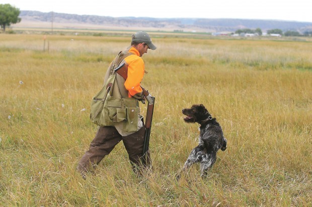Freshman lawmakers want right-to-hunt amendment in Wyoming Constitution