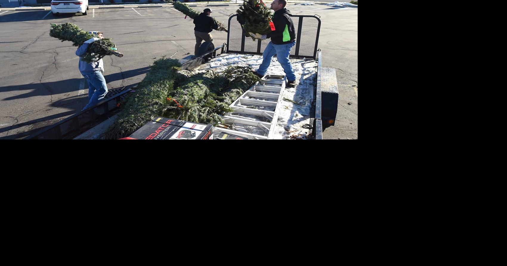 Christmas trees aid men in their recovery from addiction