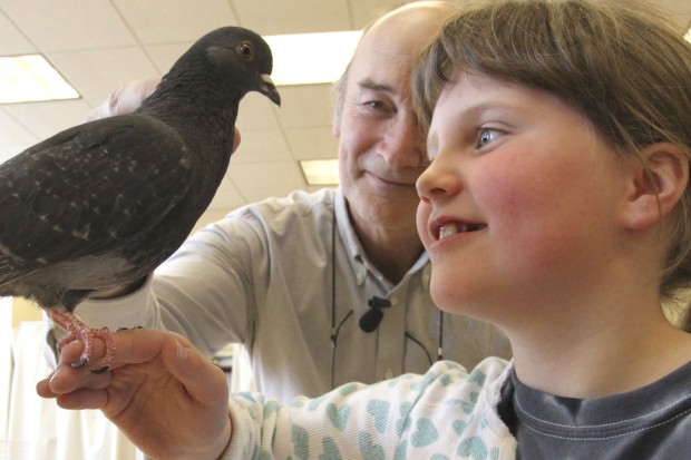 Philipsburg filmmaker shares his love for homing pigeons