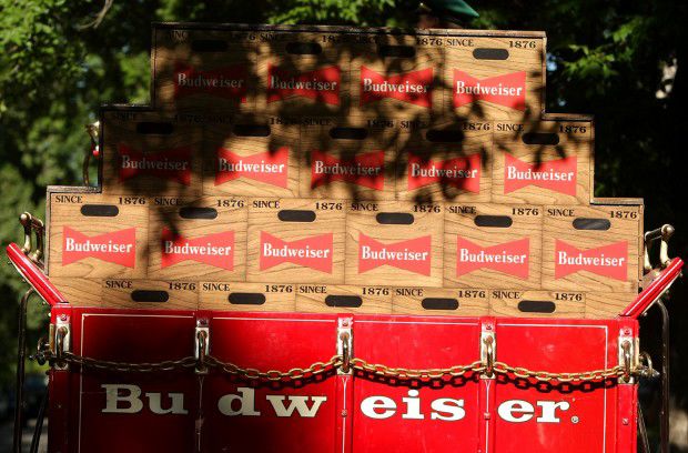 Budweiser Clydesdales deliver beer in Billings