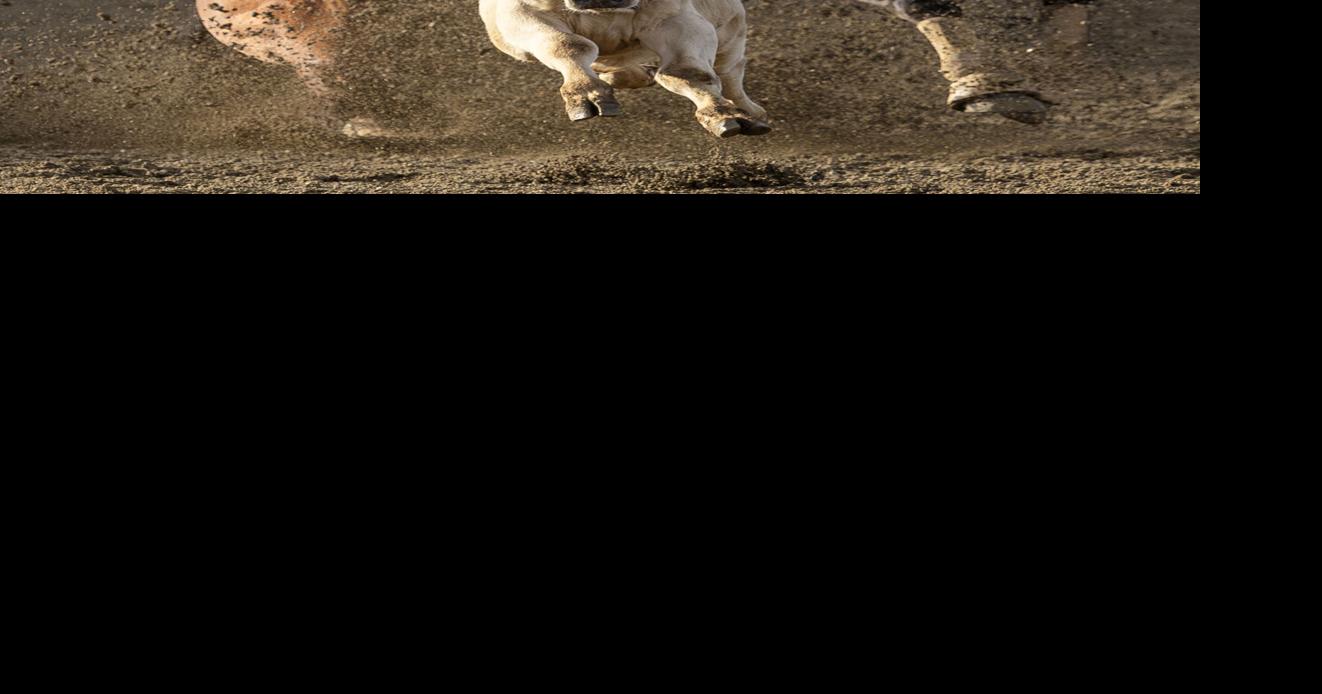 Photo: Home of Champions Rodeo in Red Lodge