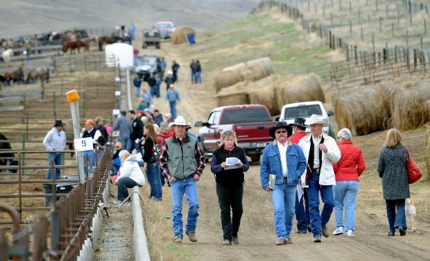 Gallery: Leachman horses