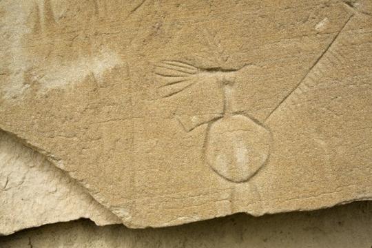 Gallery: Deer Medicine Rocks