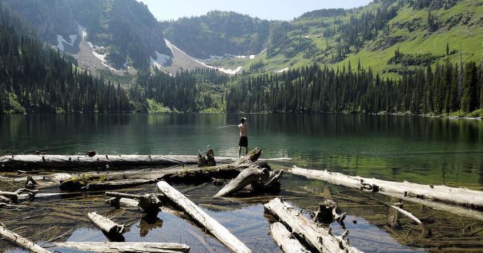 Cold Lakes is too easy to love too much
