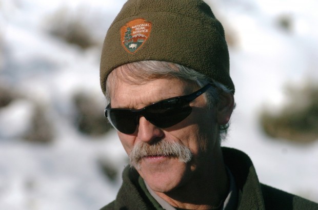 Yellowstone Wolf Project studies dance of predator, prey