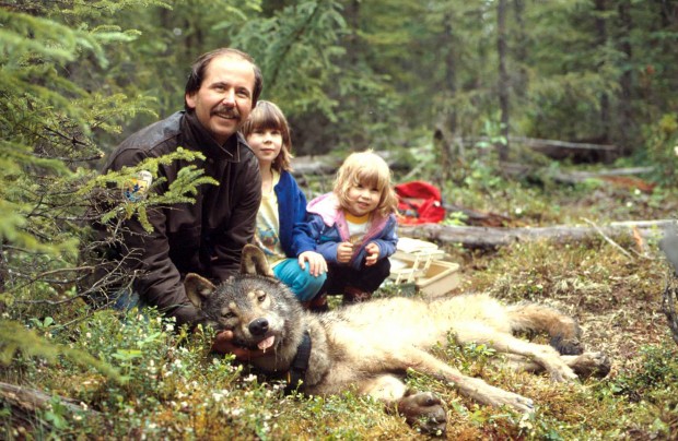 Montana's 'wolf man' plans retirement from Fish, Wildlife Service