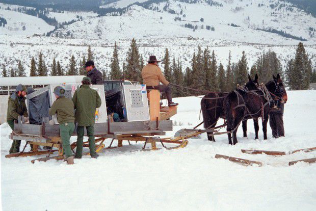 Gazette opinion: Wolf rider implements needed state plans