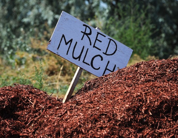 Putting waste to work
