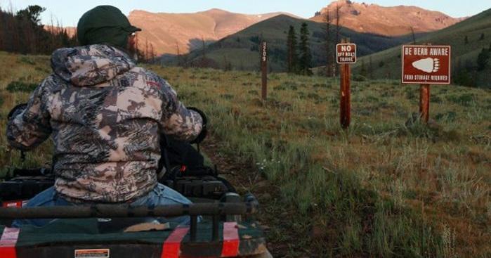 Fate of Yellowstone grizzlies tied to key foods