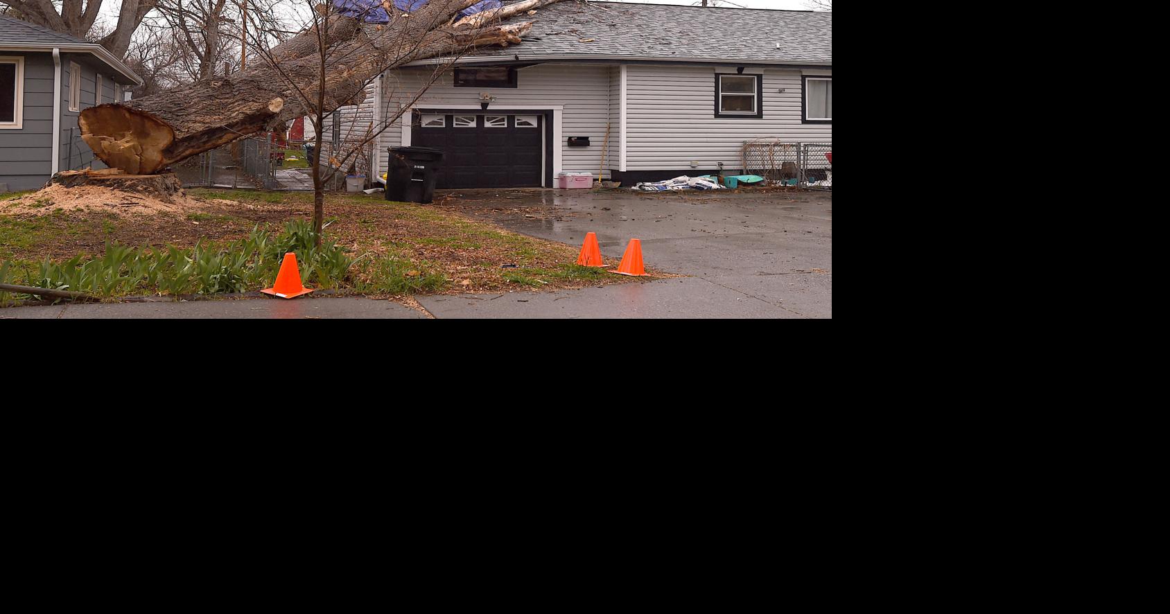Photo: Tree cutting accident damages house on 12th Street West