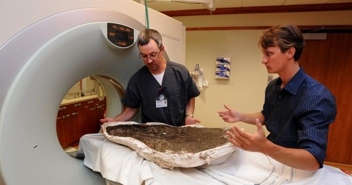 Princeton student’s CT scans of dinosaur fossils at Billings Clinic ...