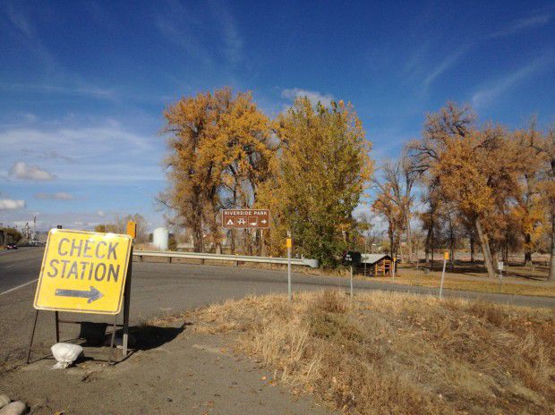 Hunter numbers, harvest up at Big Timber check station