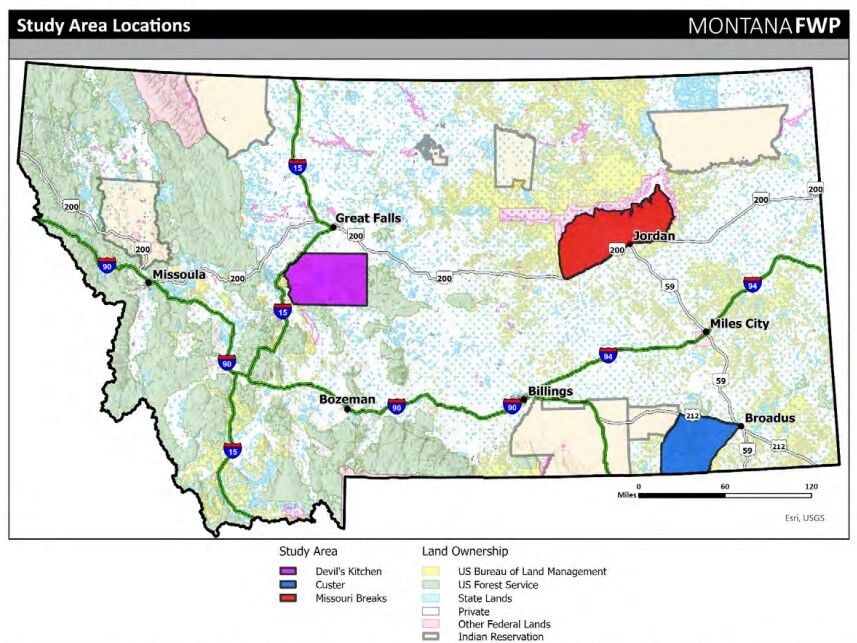 Montana FWP elk study examines 3 populations over 3 years