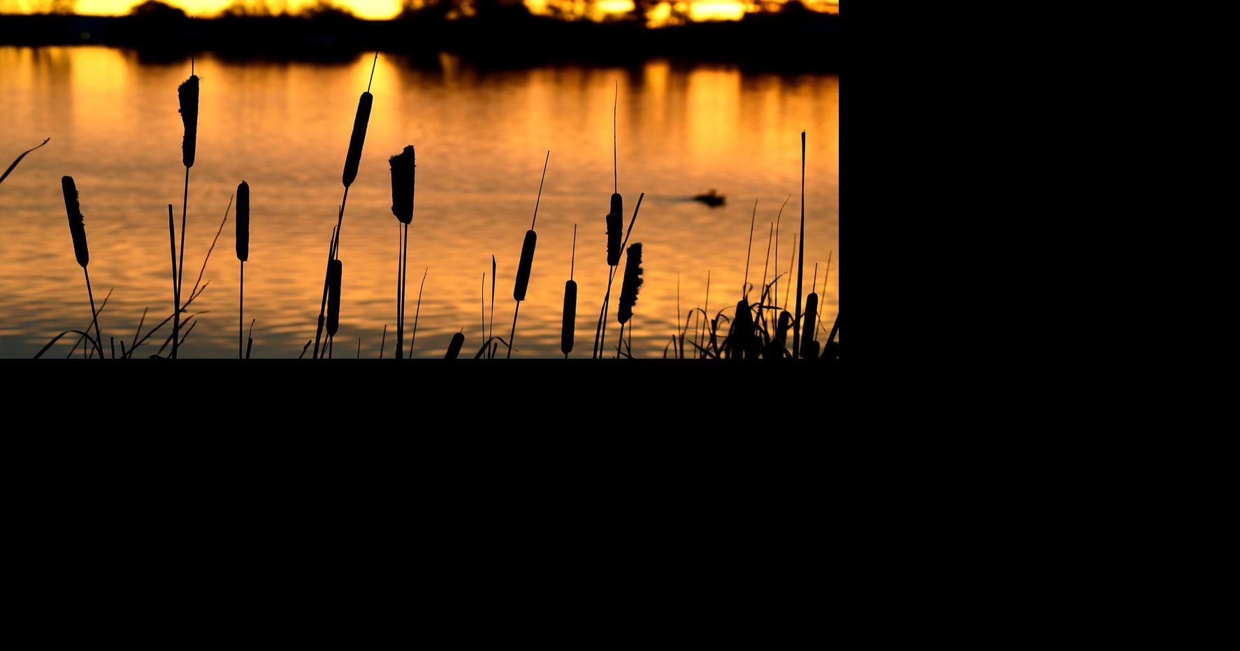 Photo: Sunrise at Lake Elmo State Park