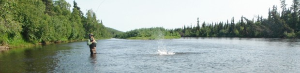 Offtrail: Realizing an Alaskan dream