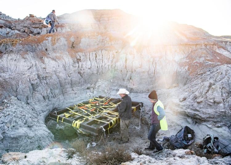 Tyrannosaur lifted from Judith River Formation, headed to North Dakota